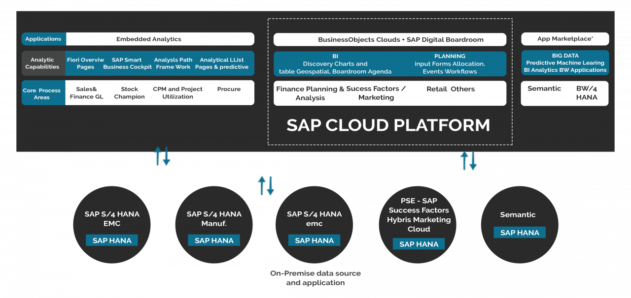 SAP Analytics – SAC – VISCAP Consultancy Services Pvt. Ltd.