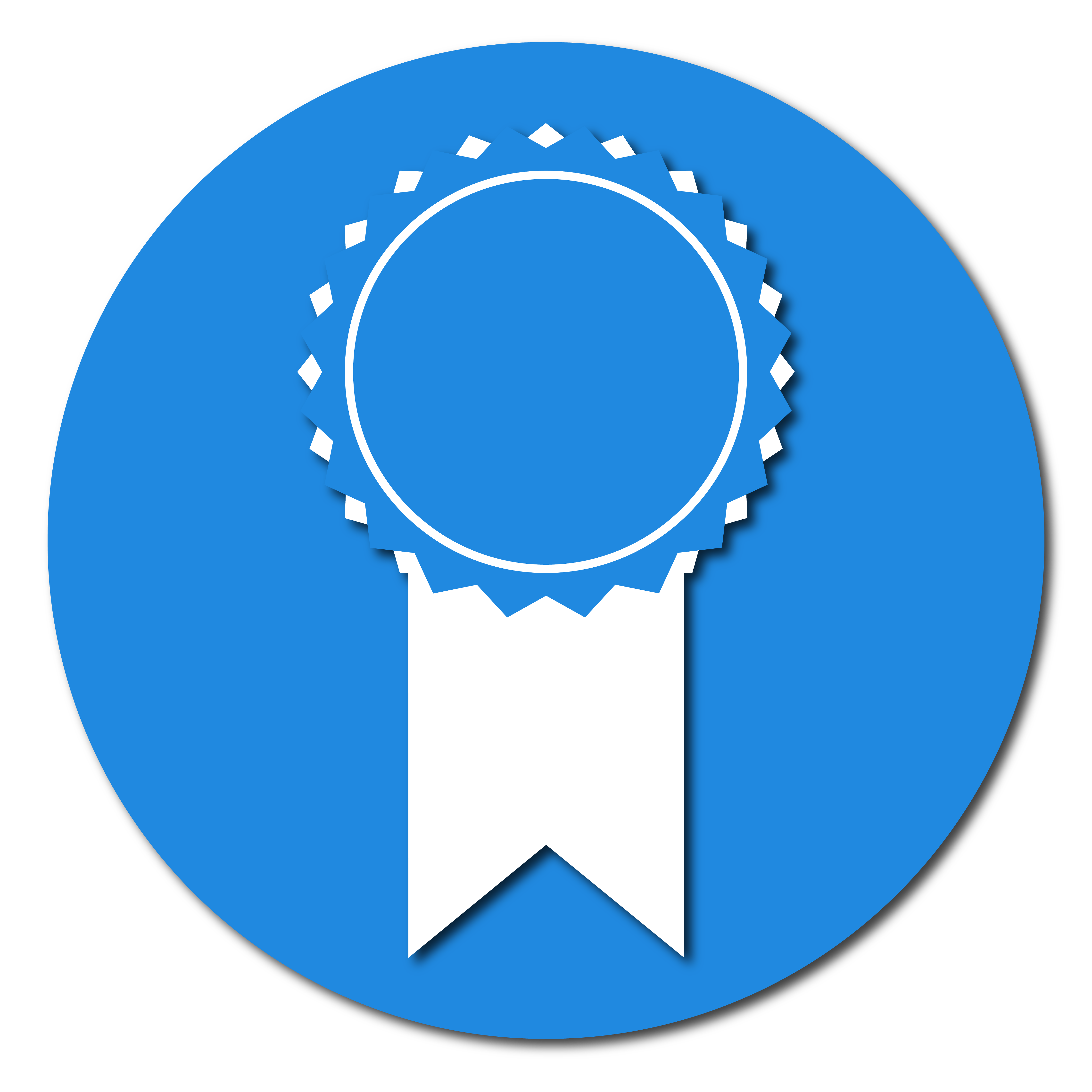 VISCAP Consultancy Services | SAP Gold Partner | Trusted Advisory Partner