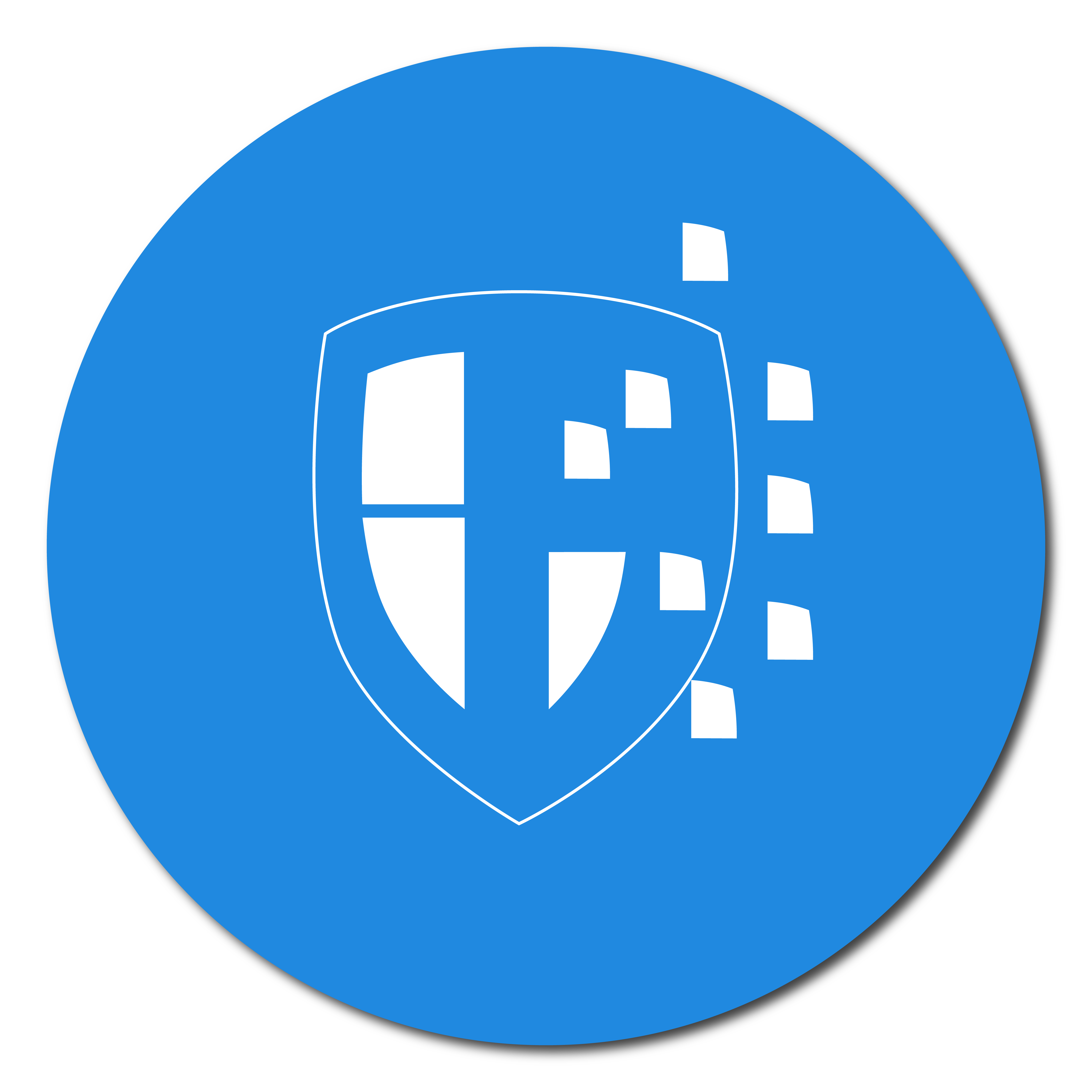 VISCAP Consultancy Services Pvt. Ltd.