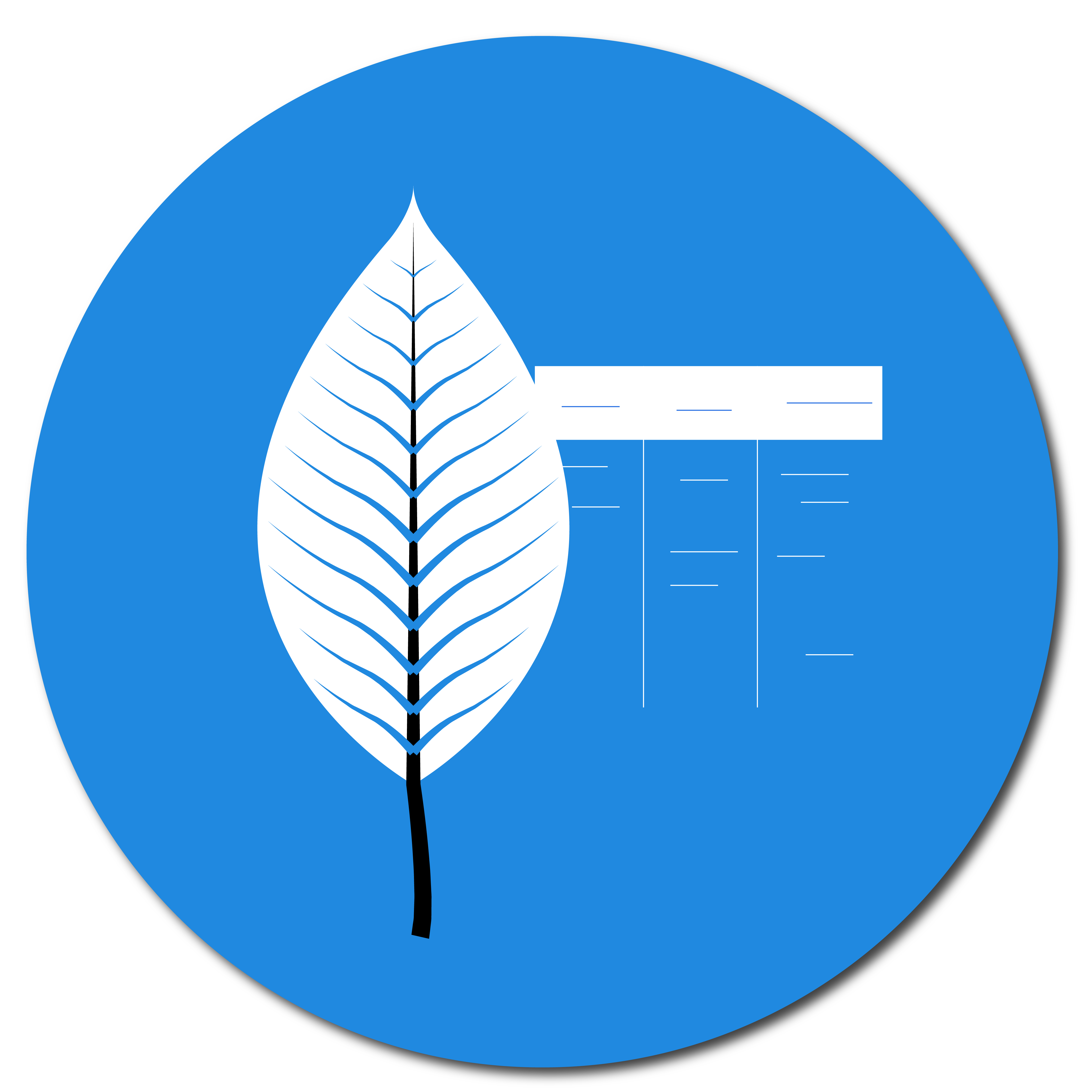 VISCAP Consultancy Services Pvt. Ltd.